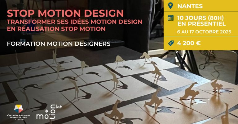 FORMATION MOTION DESIGNER.S – STOP MOTION DESIGN - Laplateforme.net